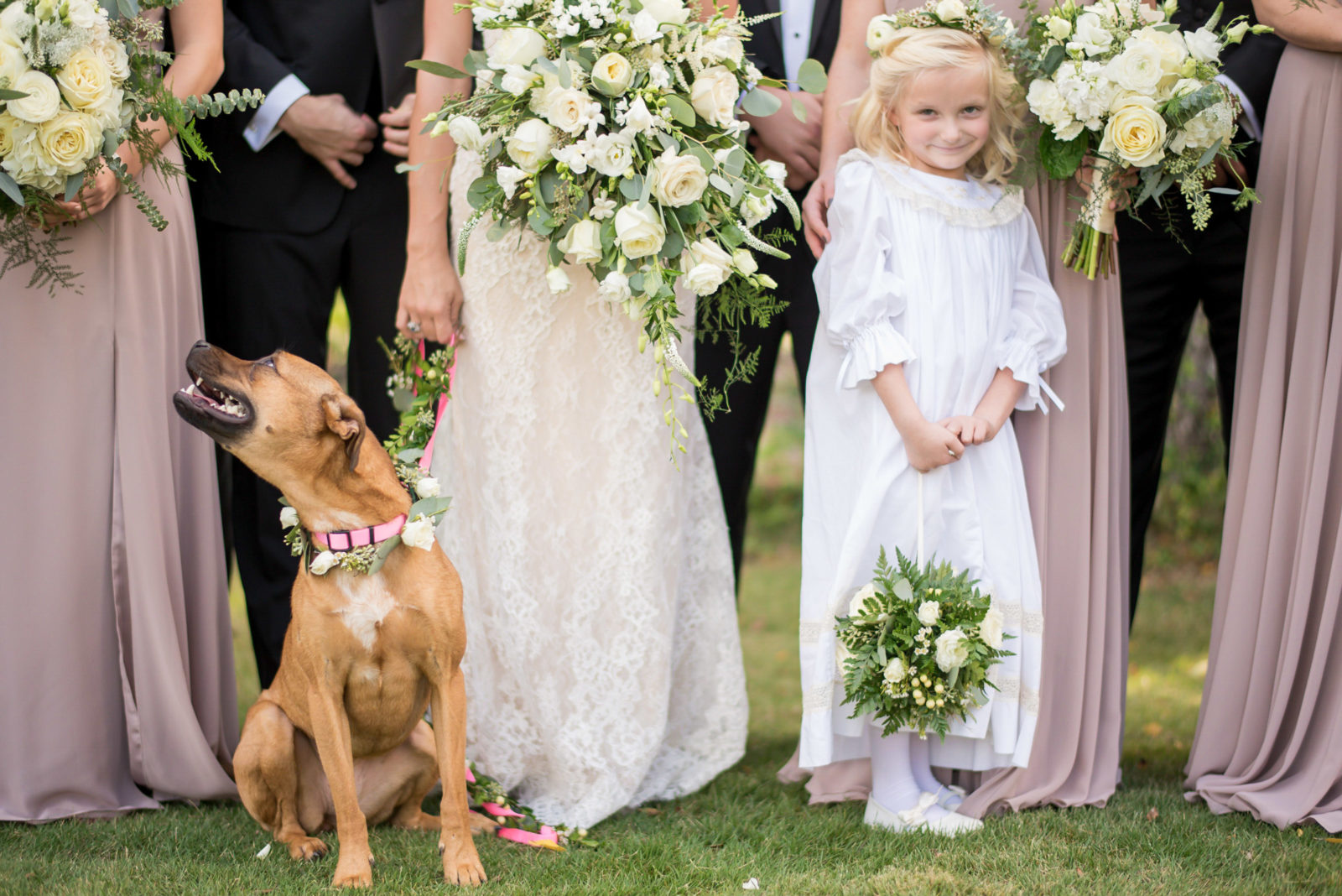 How to Photograph Weddings and Engagement Sessions with Dogs (+ Posing ...